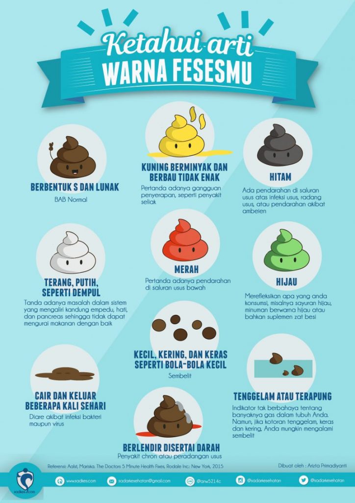 Makna Warna Feses - HSEpedia