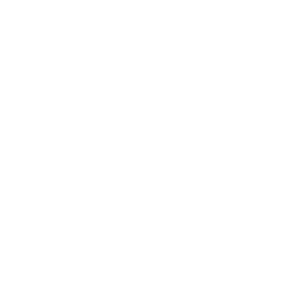 ICON_HSE_SOLID_WHITE - HSEpedia
